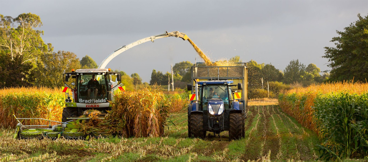 Safety Signs and Labels: Health and Safety Signage